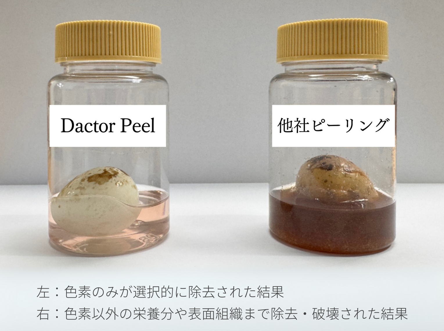 Dactor Peel Japan TOP